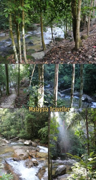 Hutan Lipur Ulu Licin Beruas, Perak