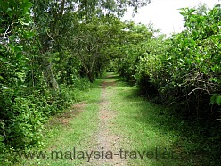 Kuala Selangor Nature Park, Selangor - Taman Alam